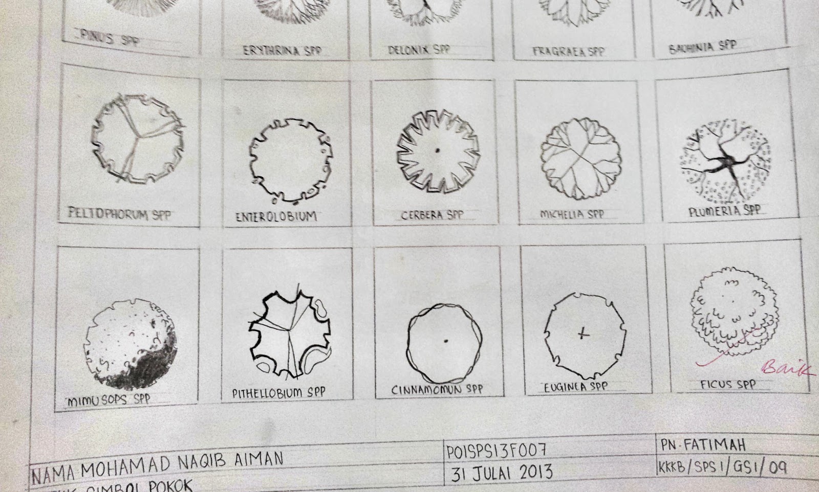 NAQIB AIMAN.. ( TEROIH ): SIMBOL POKOK... PEACE